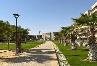 Apartment for sale in PH VGK 195m exceptional price with flexible ...